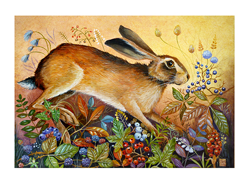 Grasshopper Press - Horizontal Cards - Masala Cards